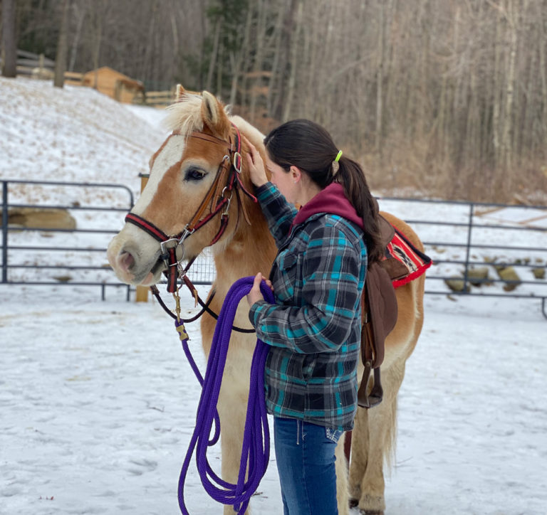 The Dorset Equine Rescue – A non-profit horse rescue in Southern Vermont